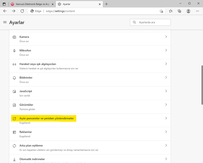Microsoft Edge Ayarları